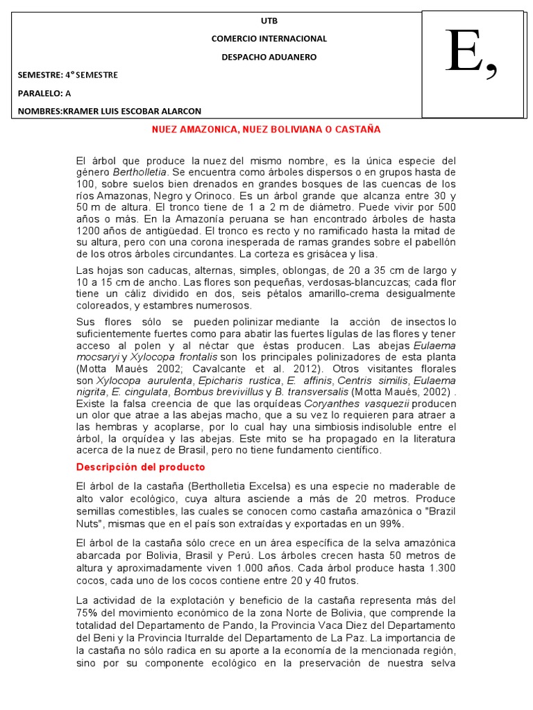 Nuez Amazonica | PDF | Plantas | Botánica