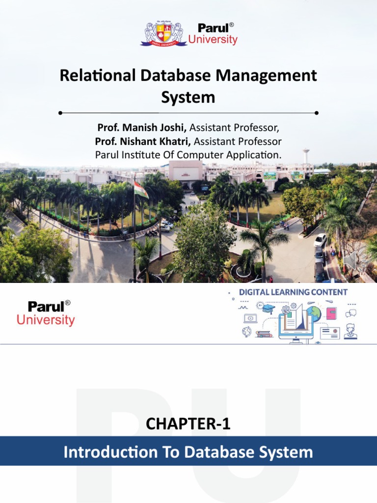 Organization and Functions of a Relational Database Management System | PDF | Databases ...