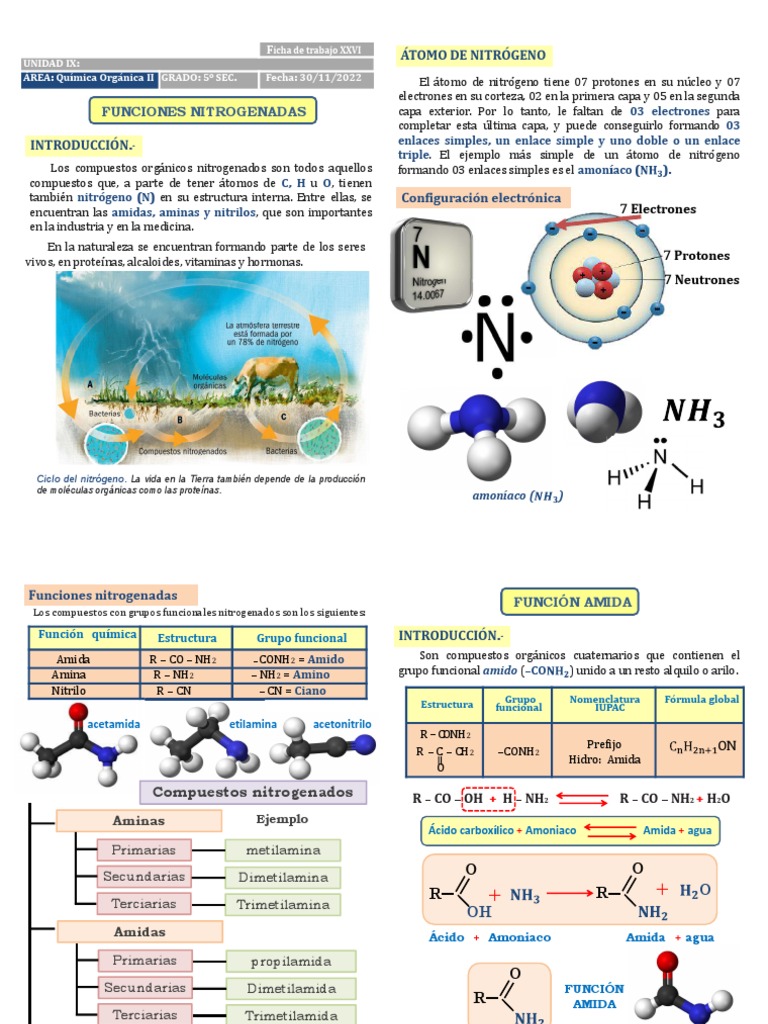 Conocemos Las Funciones Nitrogenadas | PDF | Amida | Química Orgánica