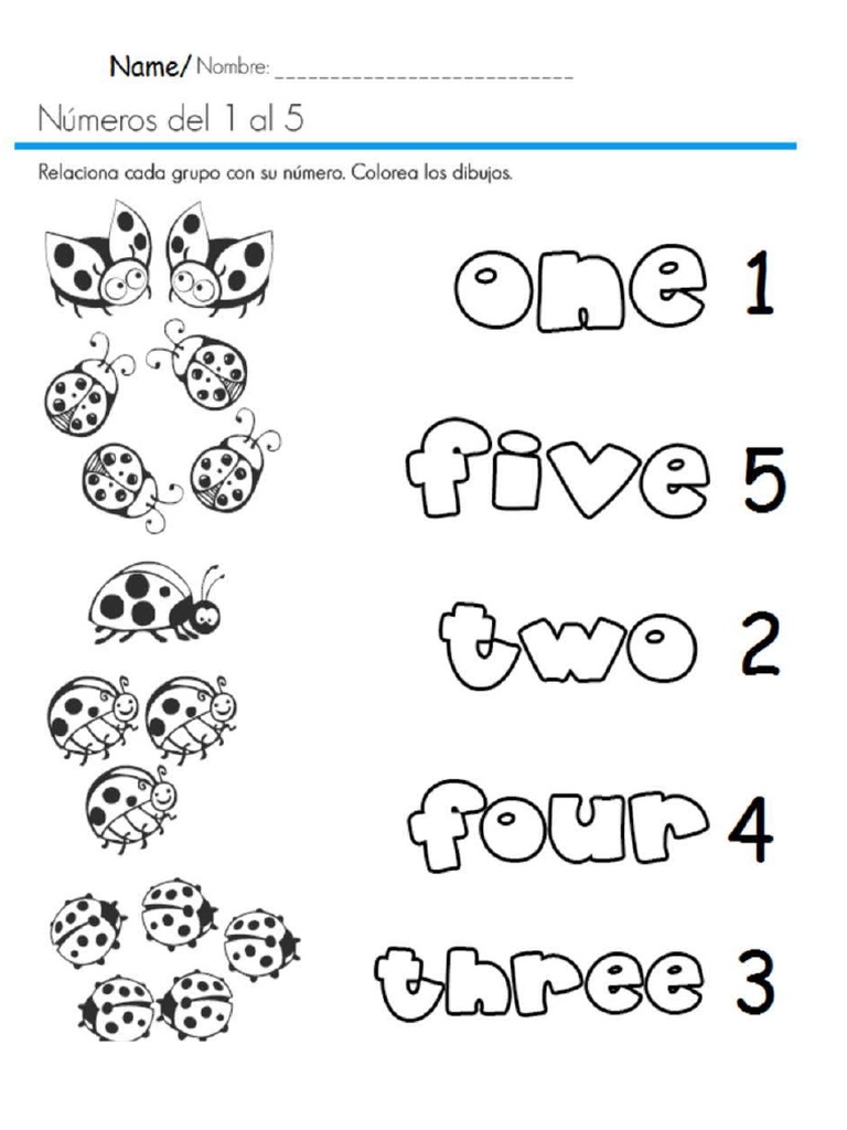 Actividad 1ero Número Del 1 Al 5 06-07-22 | PDF