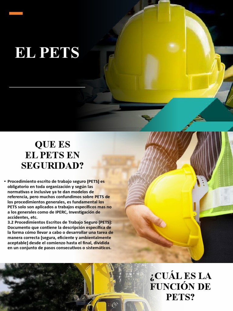 El Pets | PDF | Tomografía de emisión de positrones