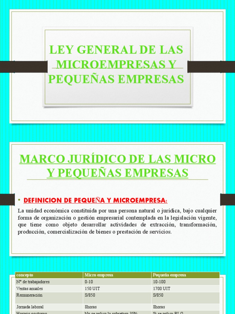 MICROEMPRESAS | PDF | Pequeñas y medianas empresas | Business