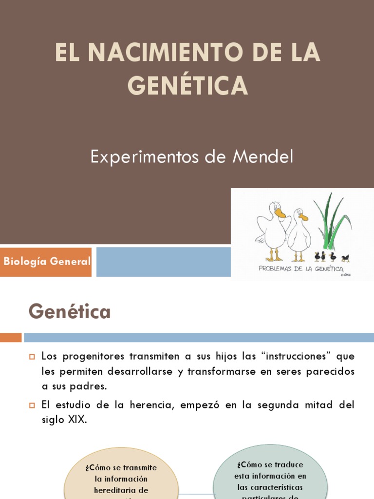 El legado de Gregor Mendel: Los fundamentos de la genética moderna ...