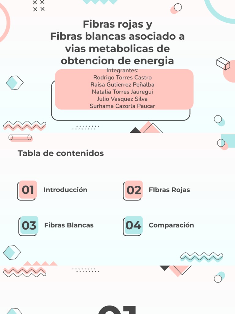 Fibras Musculares: Rojas vs. Blancas | PDF | Ciencia y matemáticas