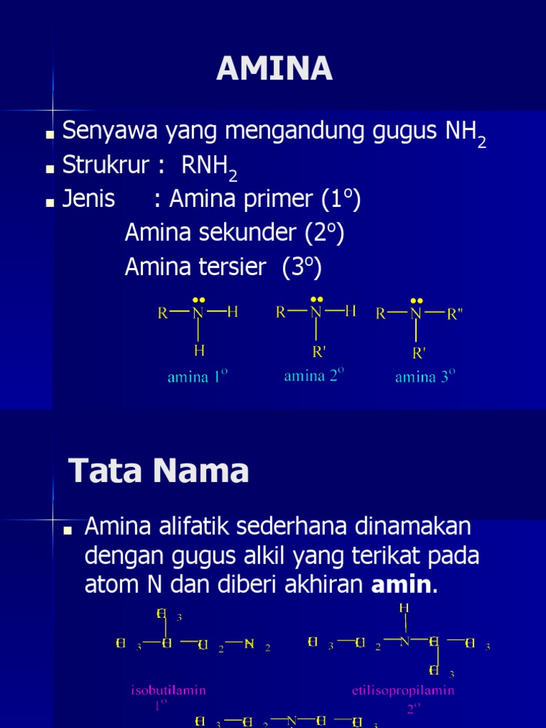 Amina | PDF