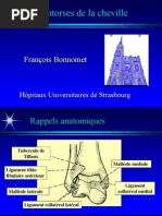 Radioanatomie Cheville-Pied | PDF | Pied | Système squelettique