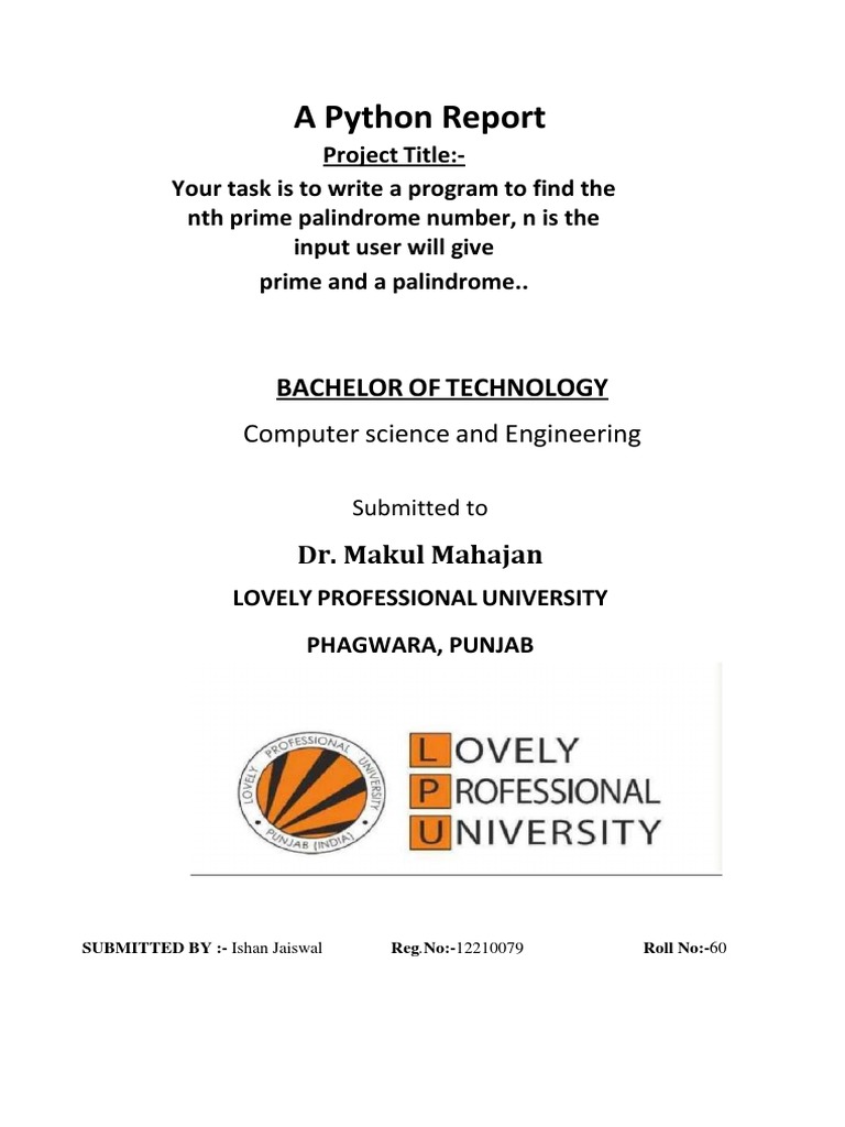 Python Project | PDF