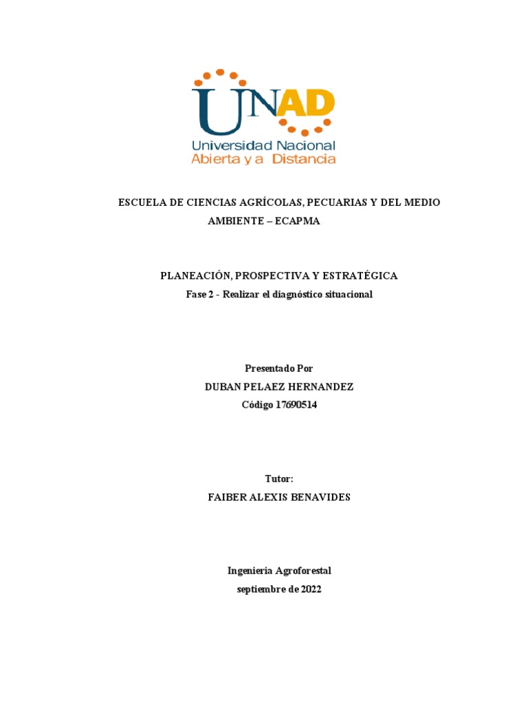 Fase 2 - Realizar El Diagnóstico Situacional | PDF | Marketing | Business