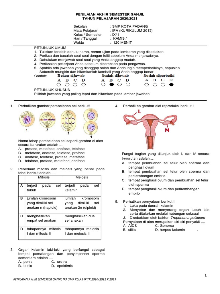 Ipa Pas Kelas 9 | PDF