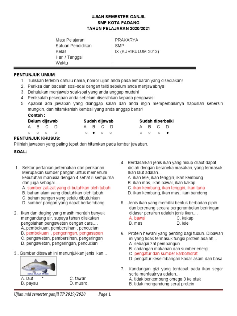 Prakarya Pas Kls 9 | PDF