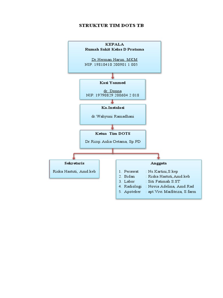 Struktur Tim Dots TB | PDF