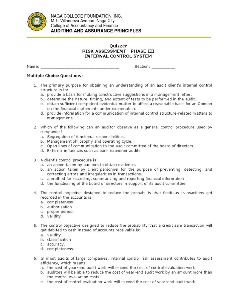 Assessing Internal Controls for Audit Efficiency | PDF | Internal ...