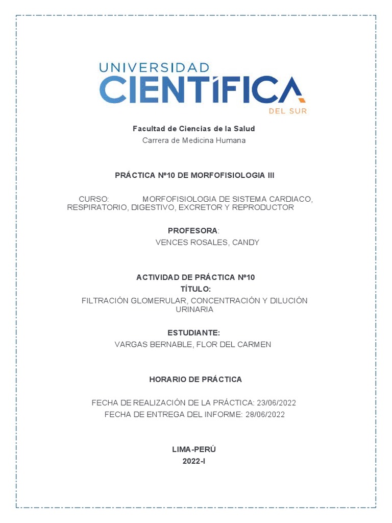 Practica Nº10 - Flor Vargas | PDF | Urología | Órgano (anatomía)