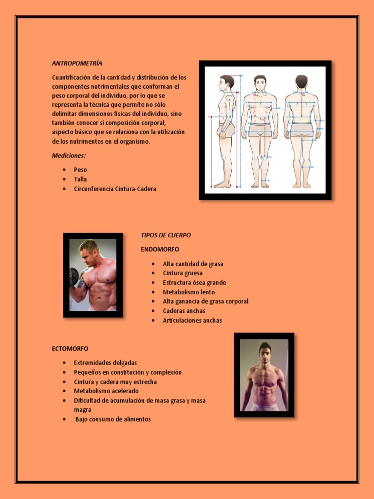 Guía De Antropometría Y Estilo Pdf Pelo Productos Cosméticos