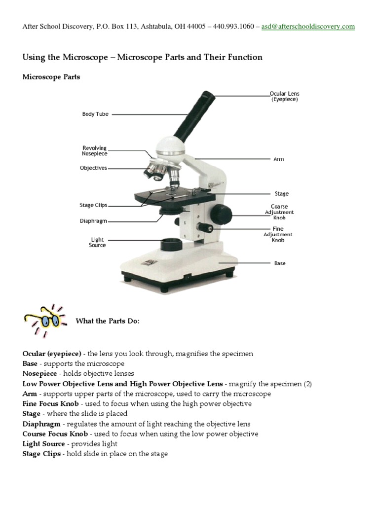 Microscope Instructions v1 | PDF
