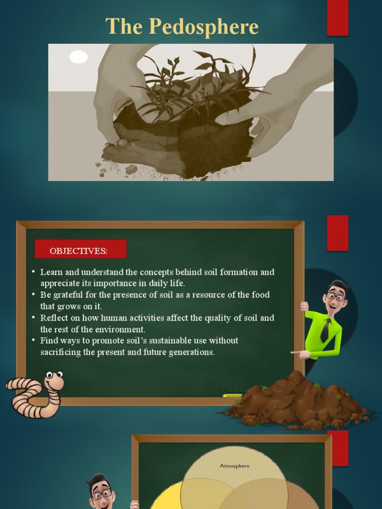 The Pedosphere | PDF | Soil | Physical Geography