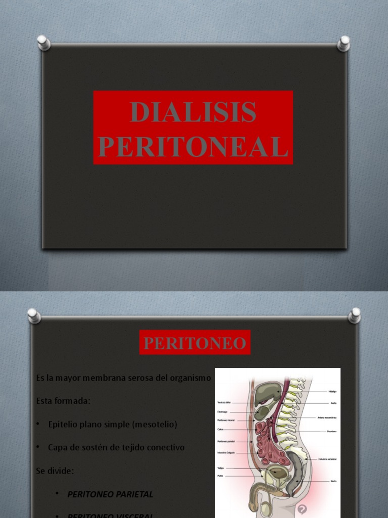 Guía Completa Sobre Diálisis Peritoneal Pdf Medicina Clinica