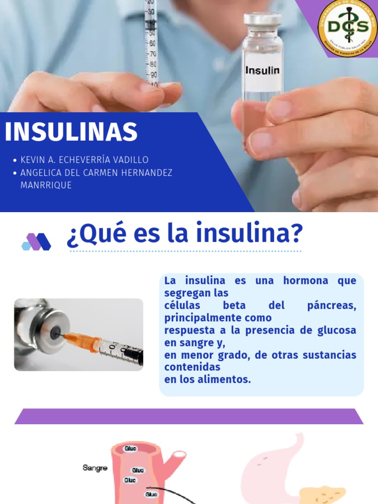 Tipos y Funciones de la Insulina | PDF | Insulina | Diabetes