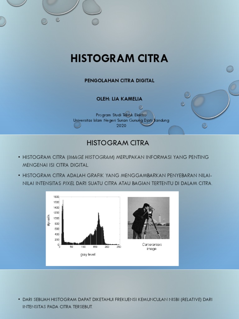 Histogram Citra dalam Pengolahan Citra | PDF | Metode & Bahan Ajar