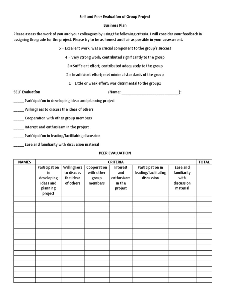 Self and Peer Evaluation of Group Project | PDF