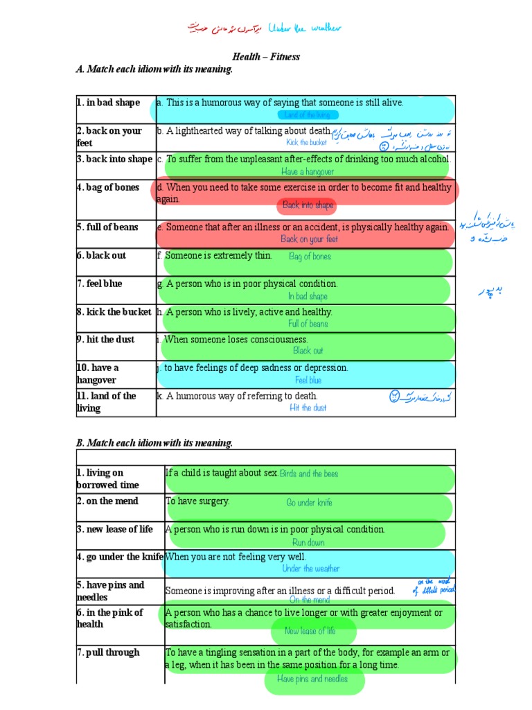 Idioms Activity | PDF