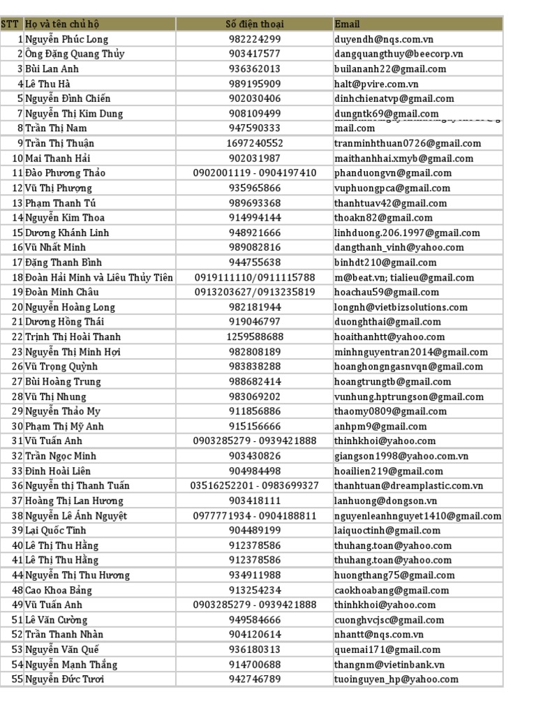 D Capital Full | PDF