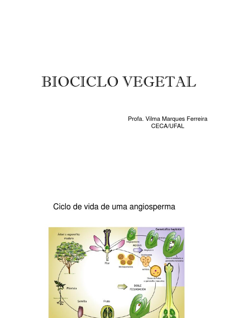 Biociclo Vegetal 18 | PDF | Organismos | Áreas da Botânica