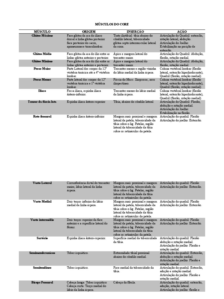 Músculos Do Core | PDF | Joelho | Pélvis