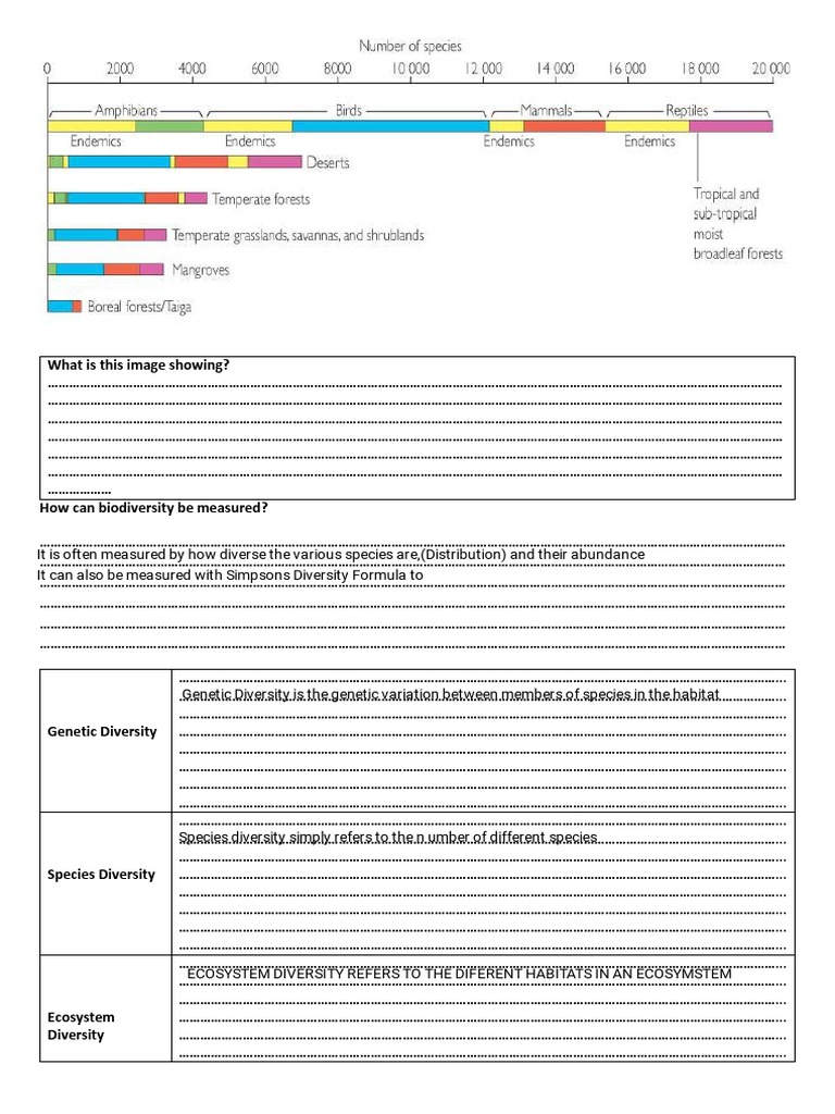 Kami Export - Biodiversity Worksheet | PDF | Environmental Science ...