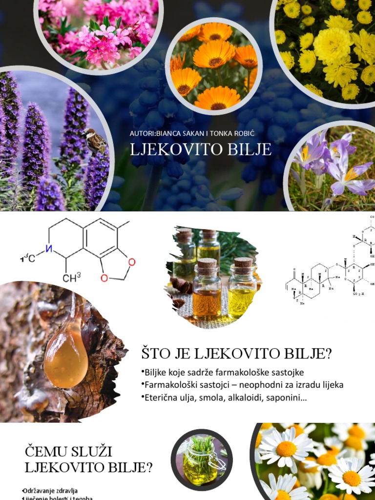 Ljekovito Bilje | PDF
