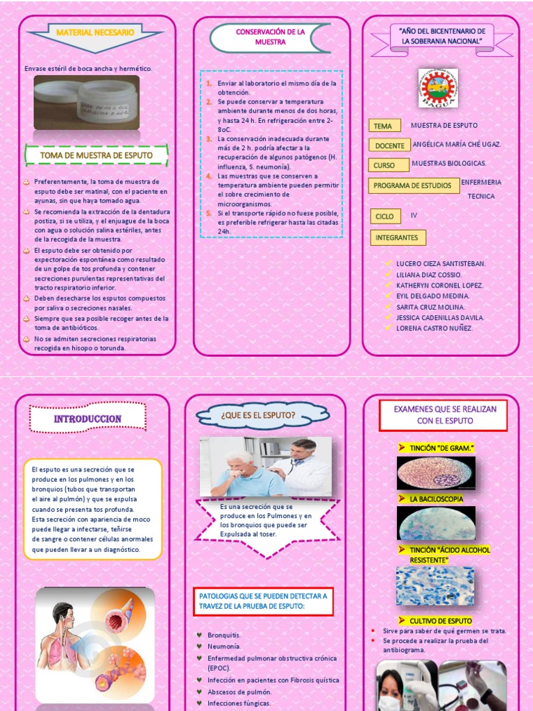Muestra de Esputo | PDF | Tos | Especialidades Medicas