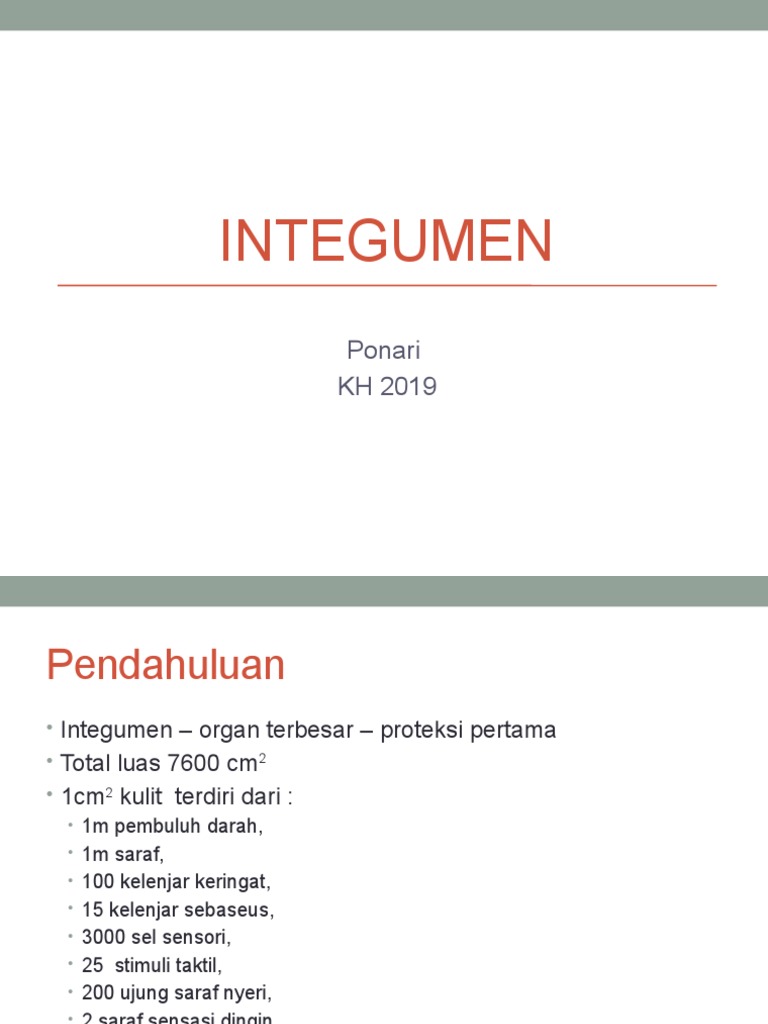Anfis Integumen | PDF