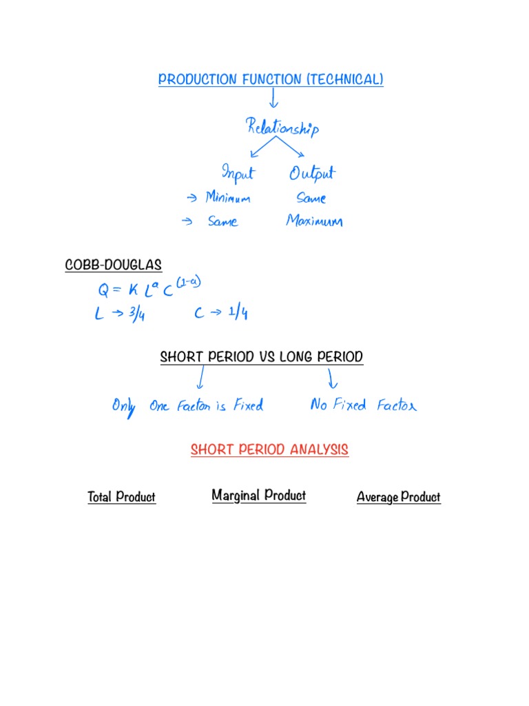 Production Function (Practical) | PDF | Production Function | Economies