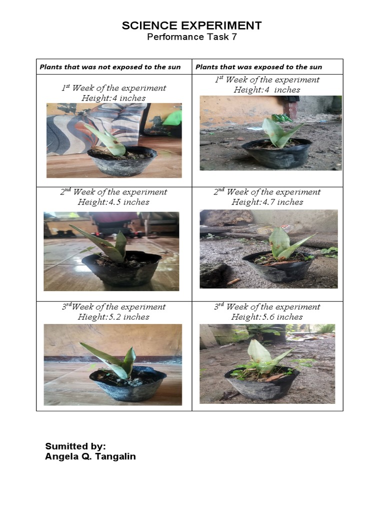 Plant Growth Experiment Results | PDF | Wellness | Science & Mathematics