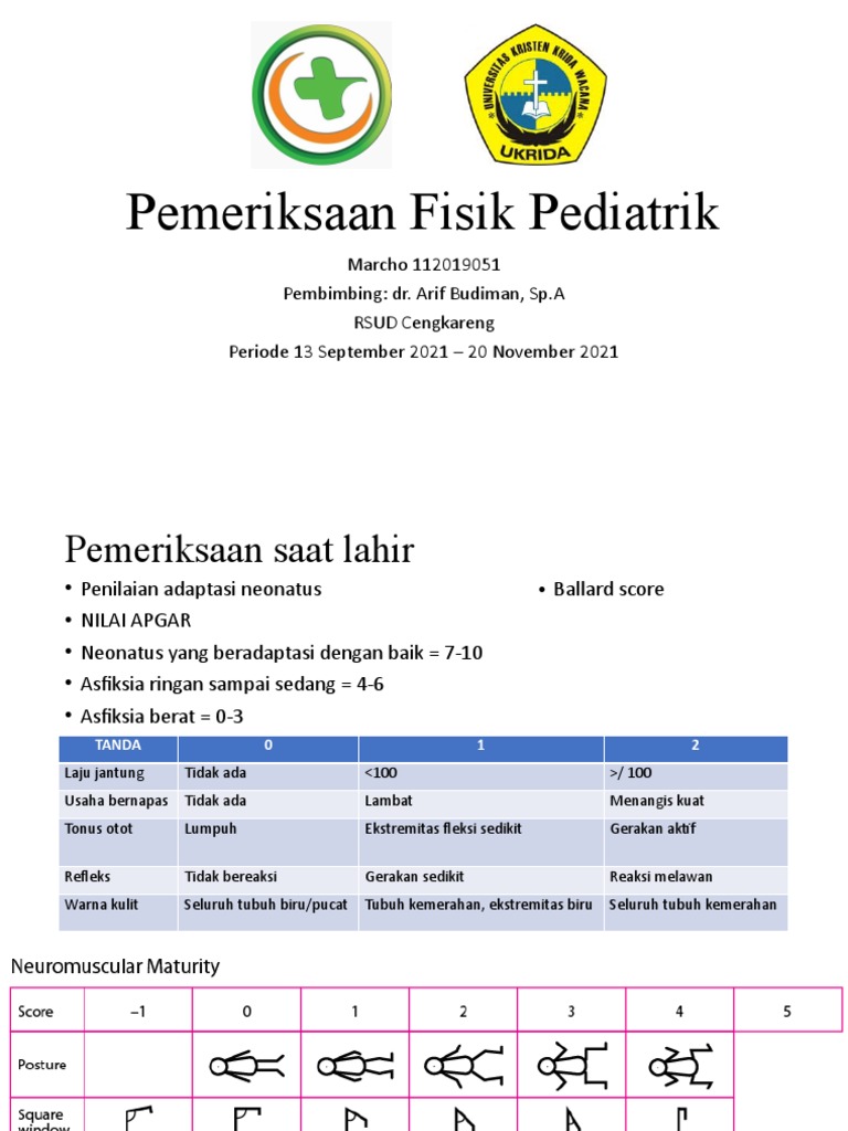 Pemeriksaan Fisik Pediatri - Koas Anak RSUD Cengkareng 13 September | PDF