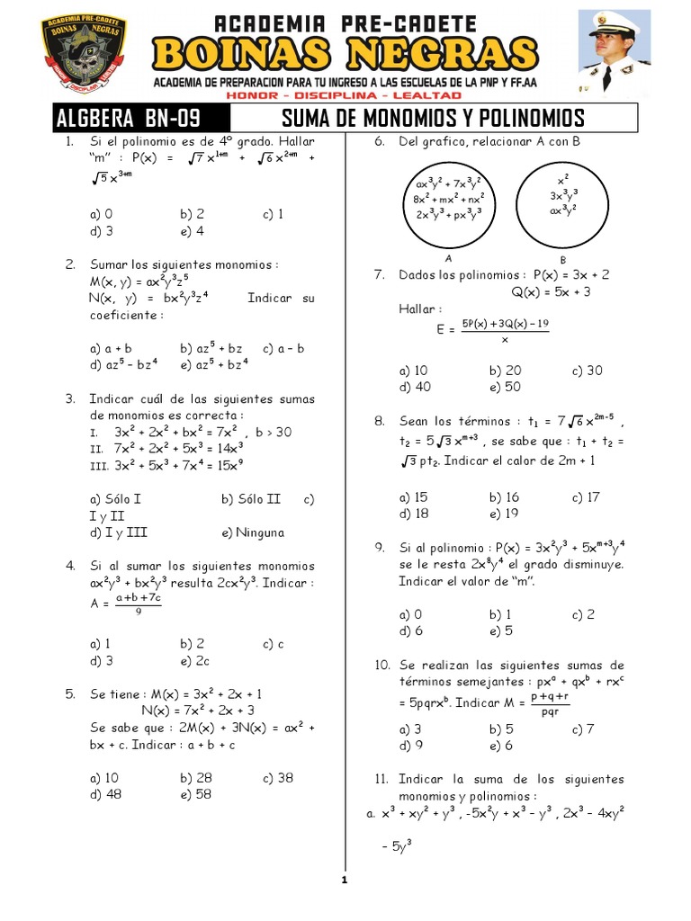 BN-09 ALGEBRA Suma de Monomios y Polinomios | PDF | Matemáticas ...