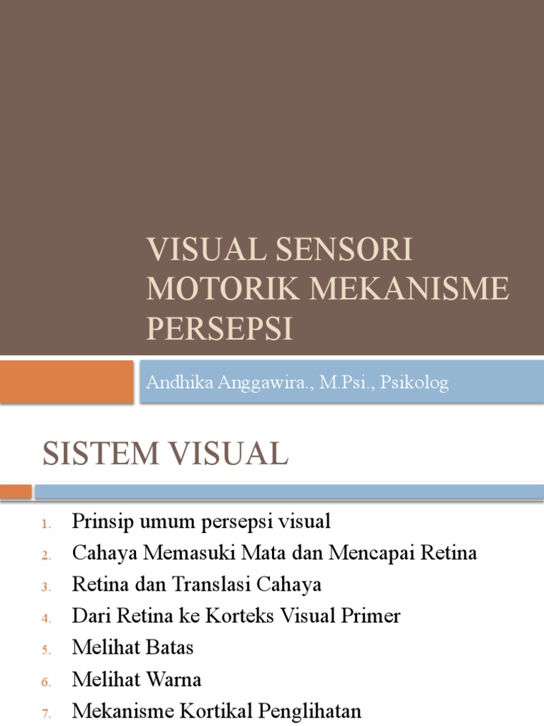 Sistem Sensori Visual dan Mekanisme Persepsi Warna | PDF