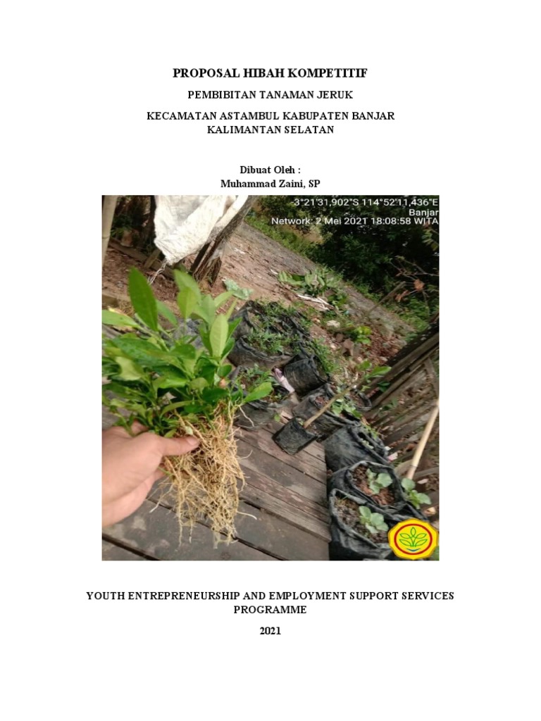 Proposal Pembibitan Jeruk | PDF