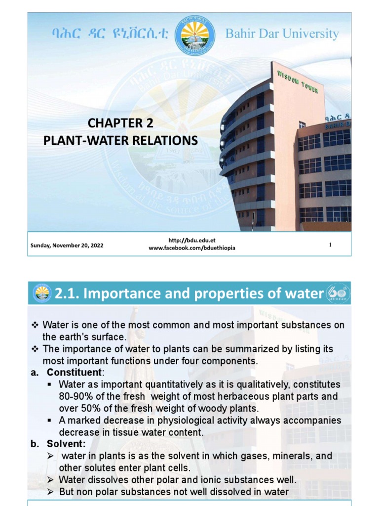 Chapter 2 Plant-Water Relations | Download Free PDF | Stoma | Water