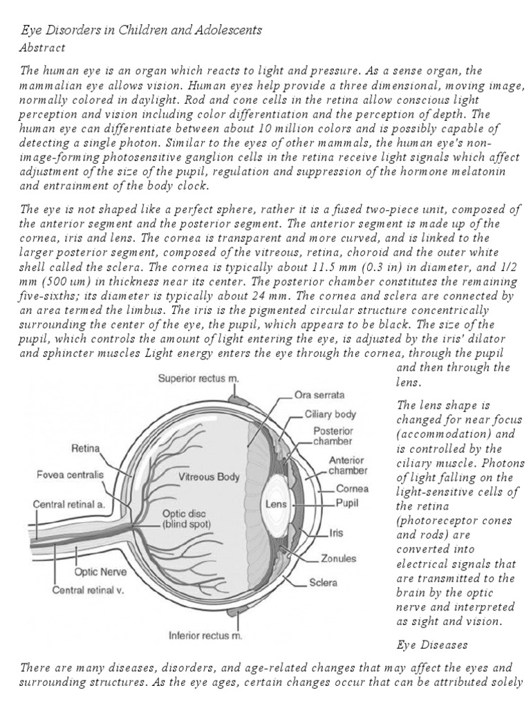 Eye Disorders Bio Project | PDF | Glaucoma | Human Eye