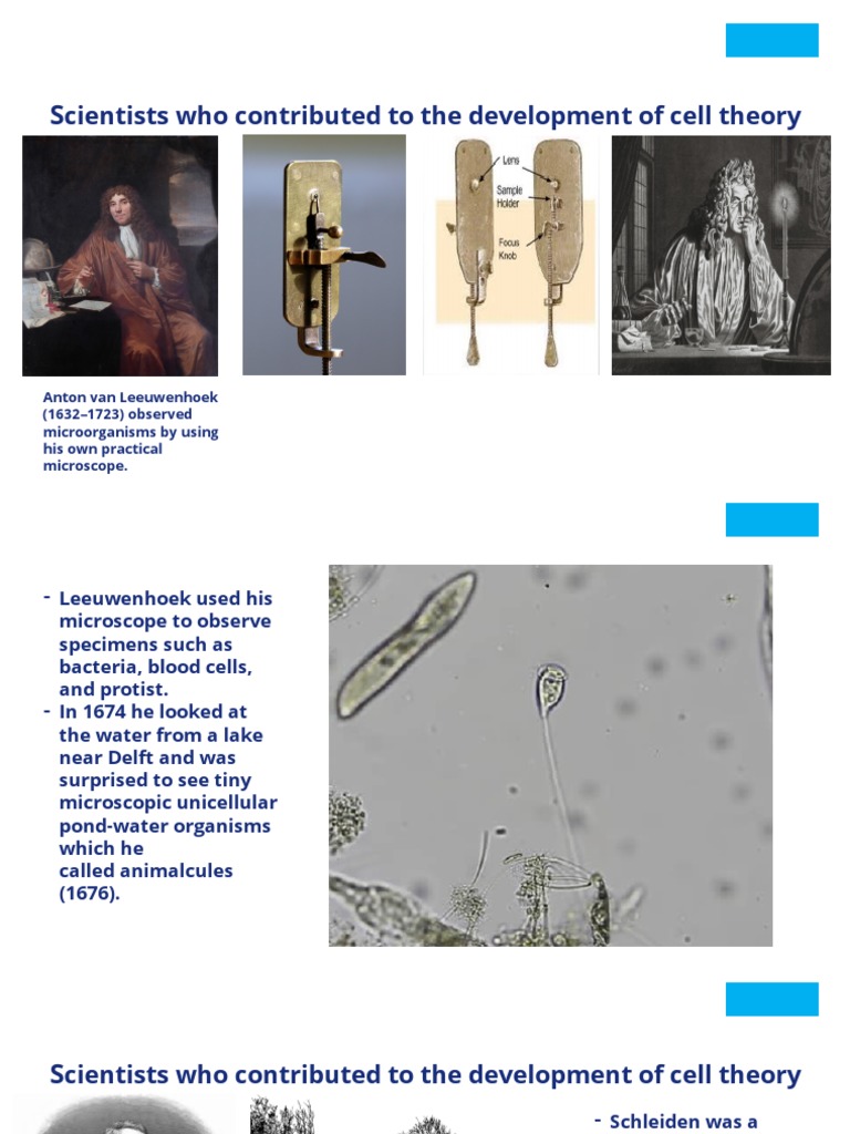 Cell Theory 2 | PDF | Cell (Biology) | Nature