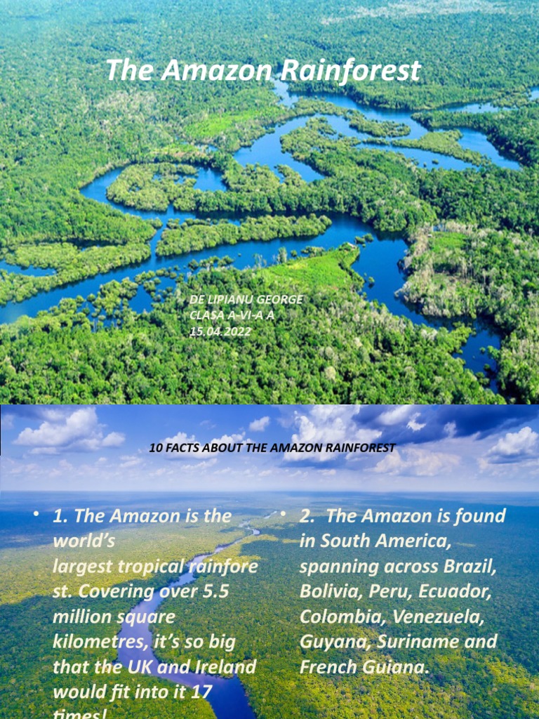 The Amazon Rainforest | PDF | Amazon Rainforest