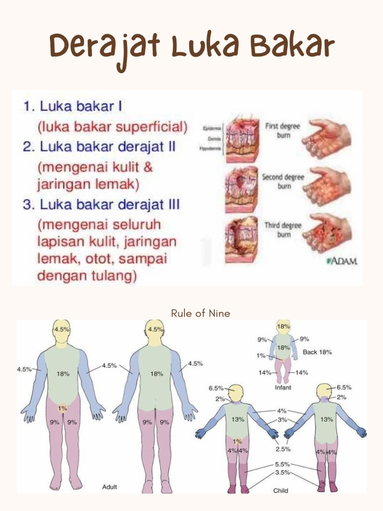 Derajat Luka Bakar | PDF