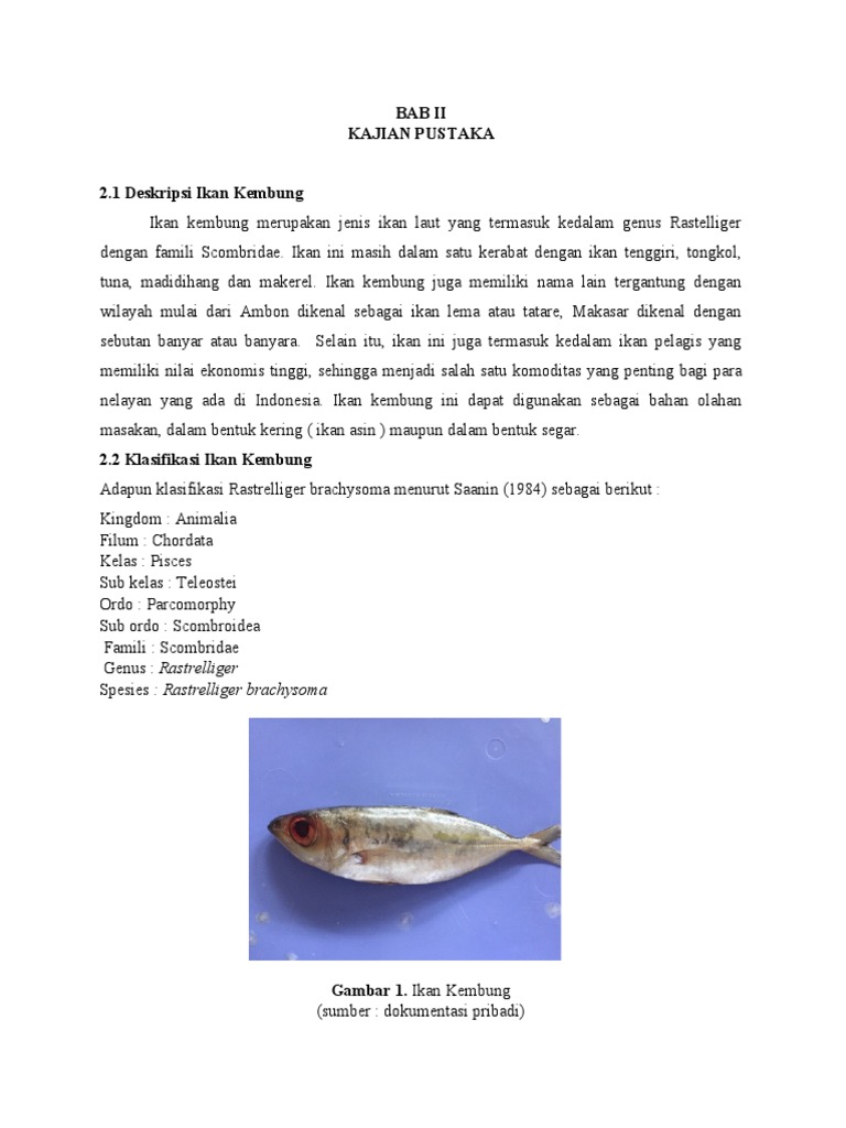 BAB II Dan III IKAN KEMBUNGGGG | PDF