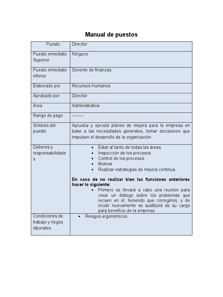 Manual de Puestos | PDF | Gestión de recursos humanos | Marketing