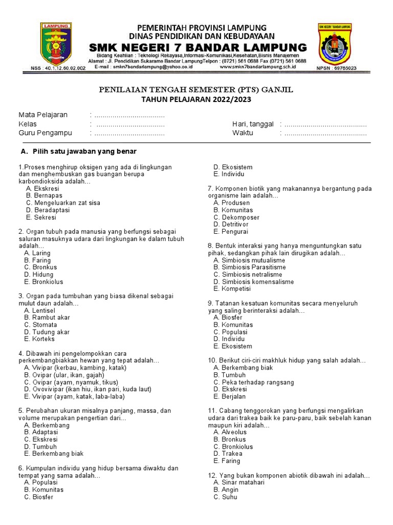 Format Soal PTS | PDF