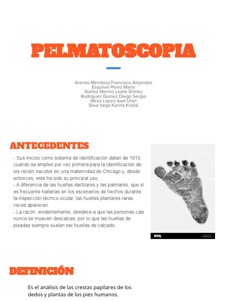 PELMATOS | PDF | Pie | Huella dactilar