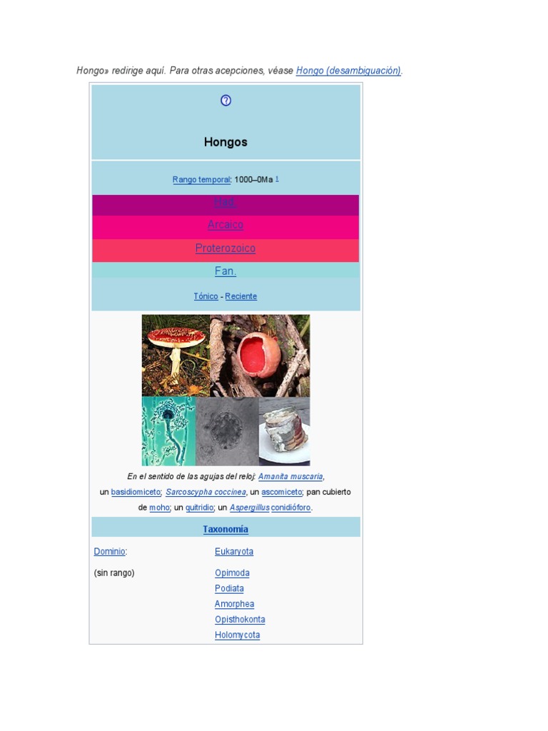 Hongo | PDF | Hongo | Plantas