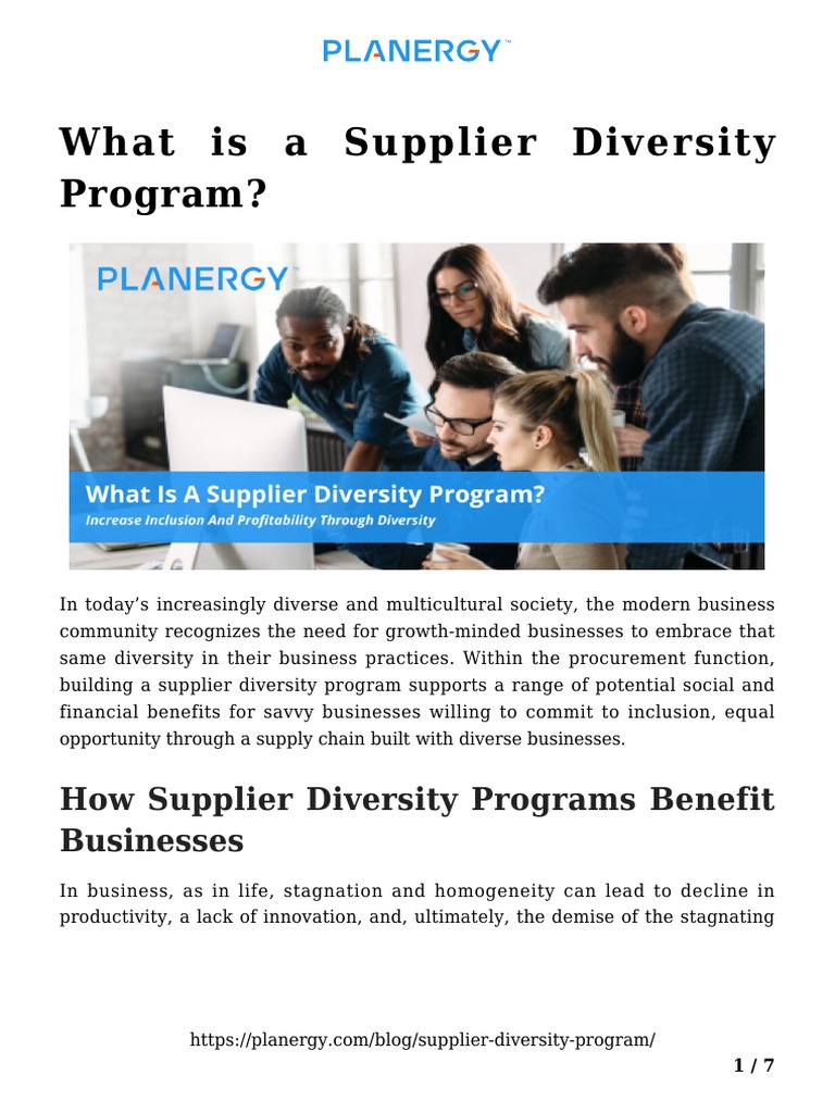 Supplier Diversity Program | PDF | Supply Chain | Procurement