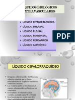 Transaminasas - TGO, TGP y GGT | PDF | Transaminasa | Especialidades Medicas